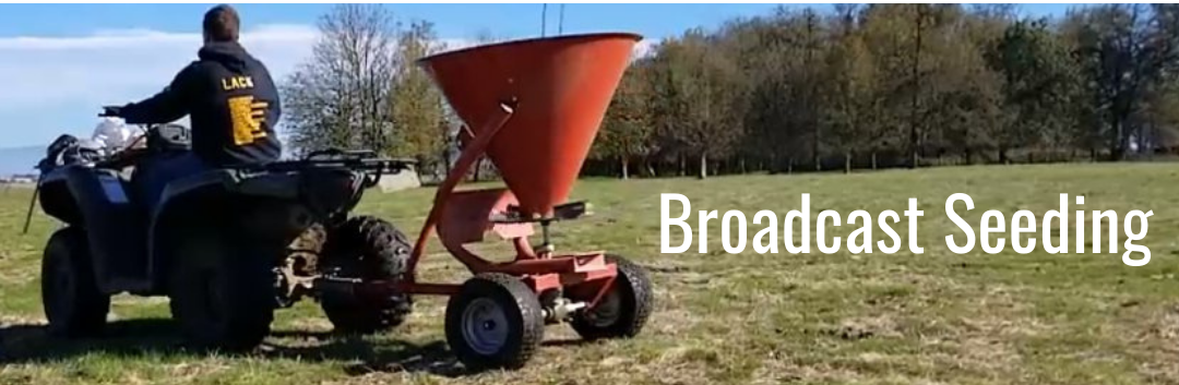 Interseeding Cover Crops Into Corn | What You Need To Know