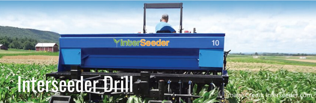 Interseeding Cover Crops Into Corn | What You Need To Know