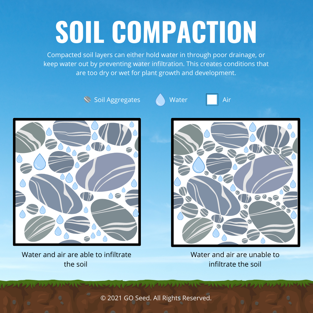 Economics of Cover Crops Series Part Two: Long-Term Gains