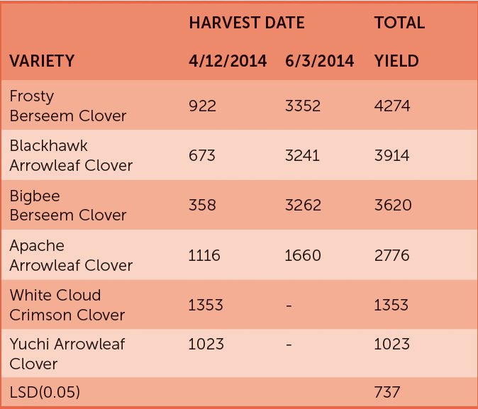 BERSEEM CLOVER | Cover Crops | Go Seed