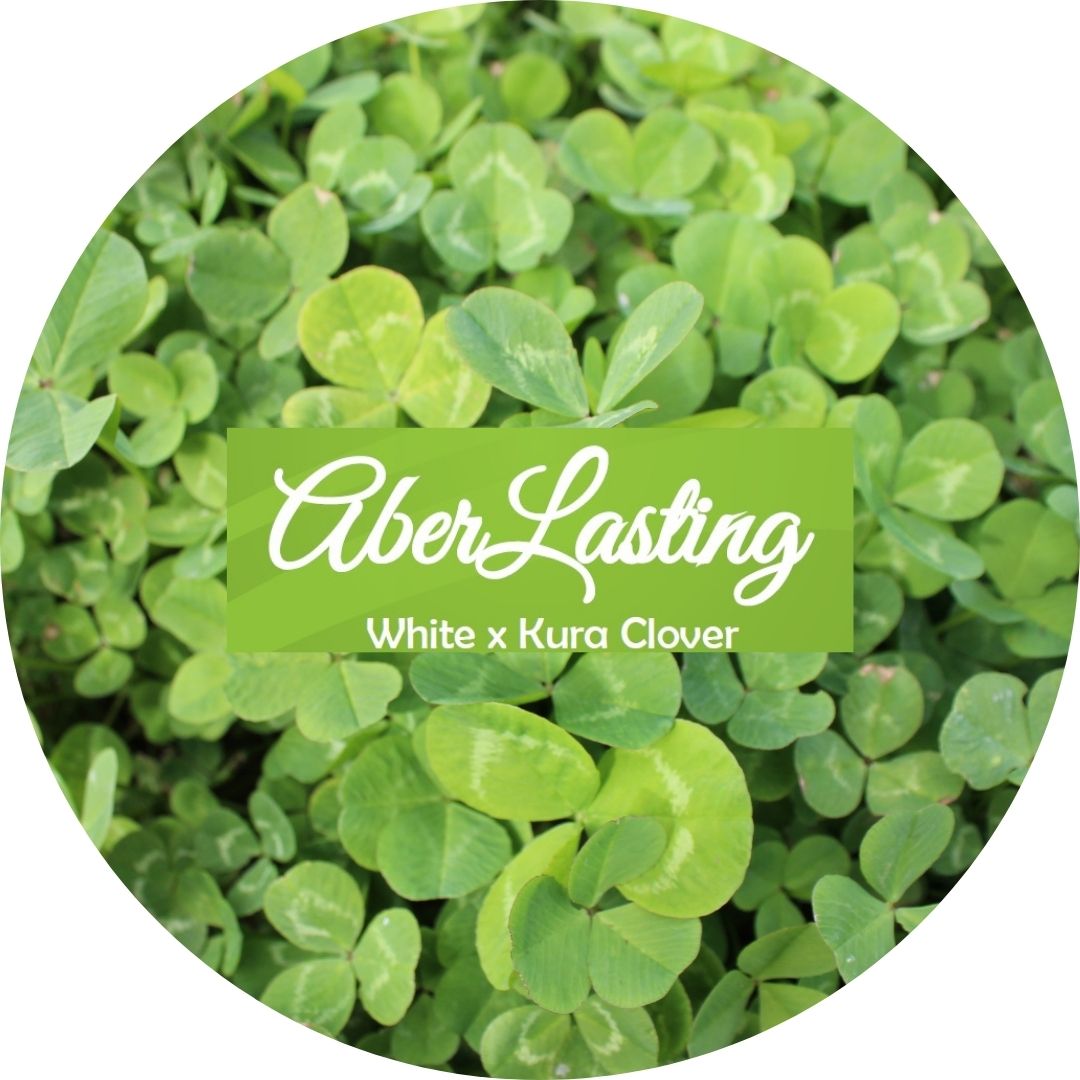 COVER CROP | Go Seed