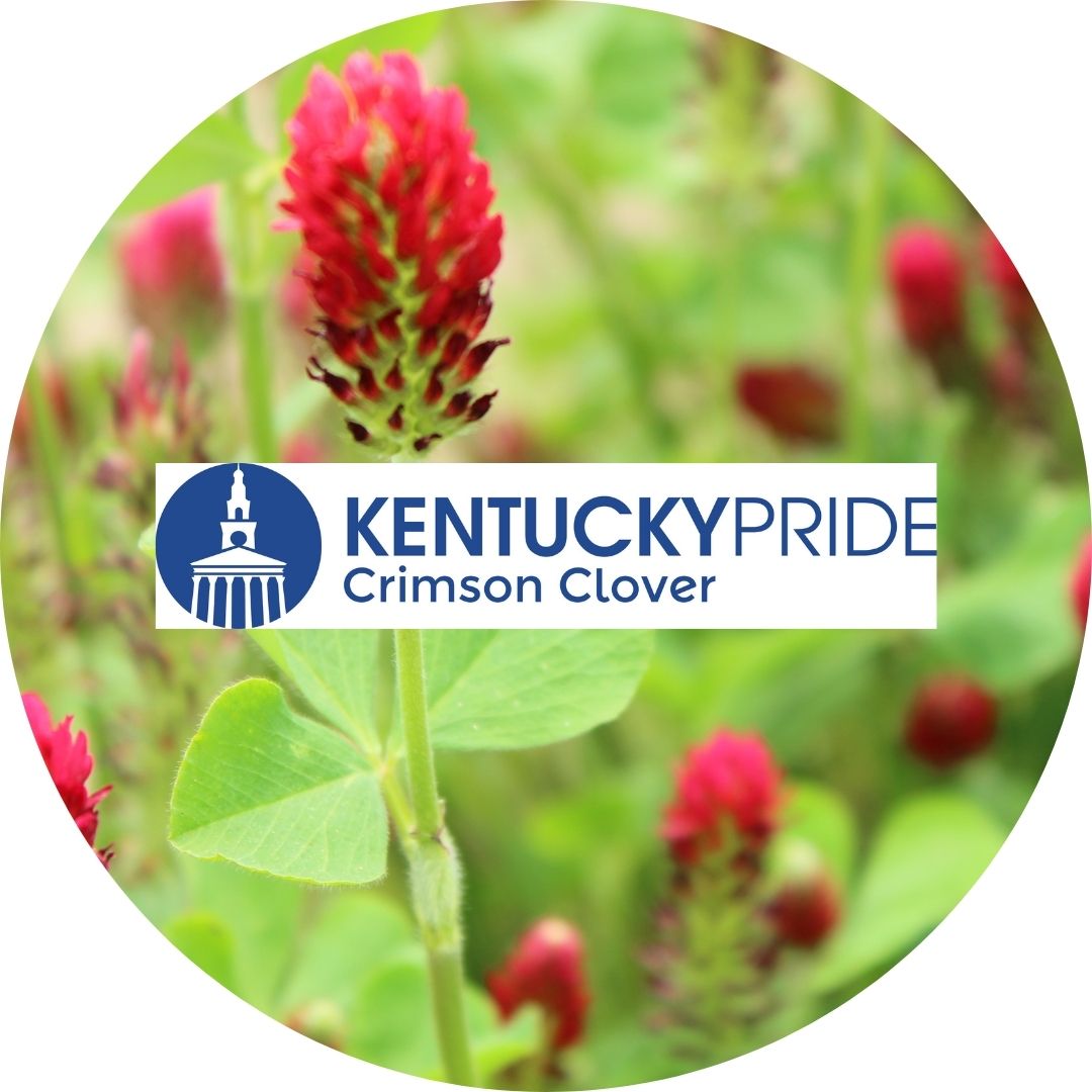 COVER CROP | Go Seed