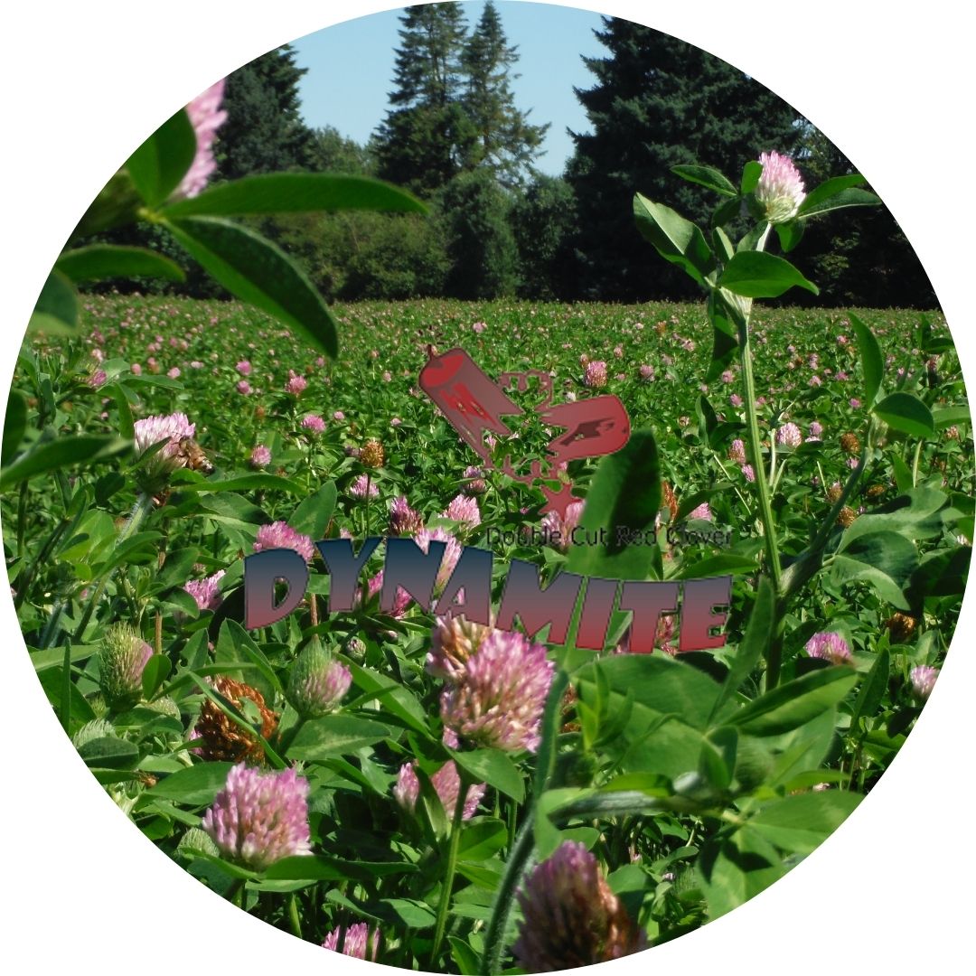 COVER CROP | Go Seed