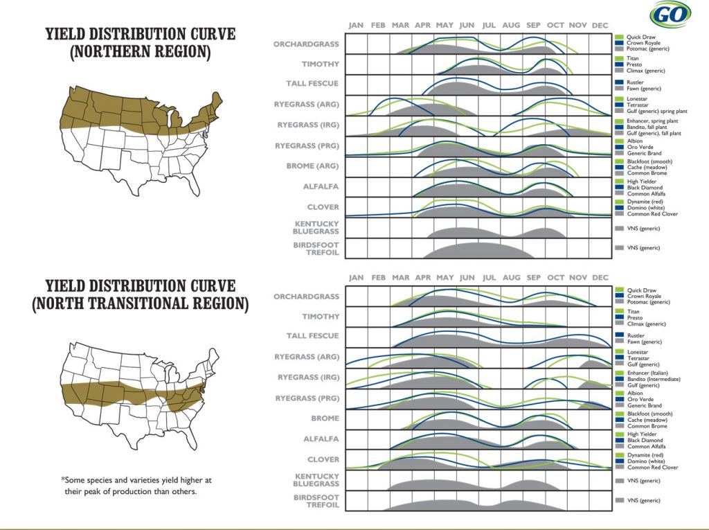 Forage | High Yields & Non-Bloating | GO Seed