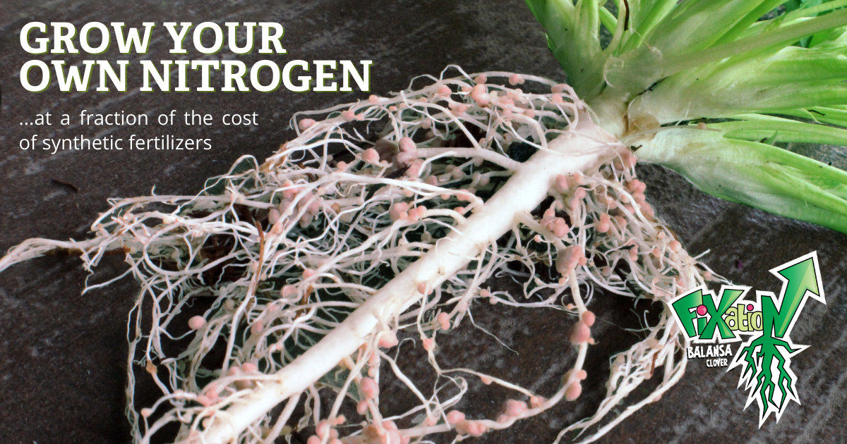 GO Seed | Cover Crops, Forage, & Turf Seeds