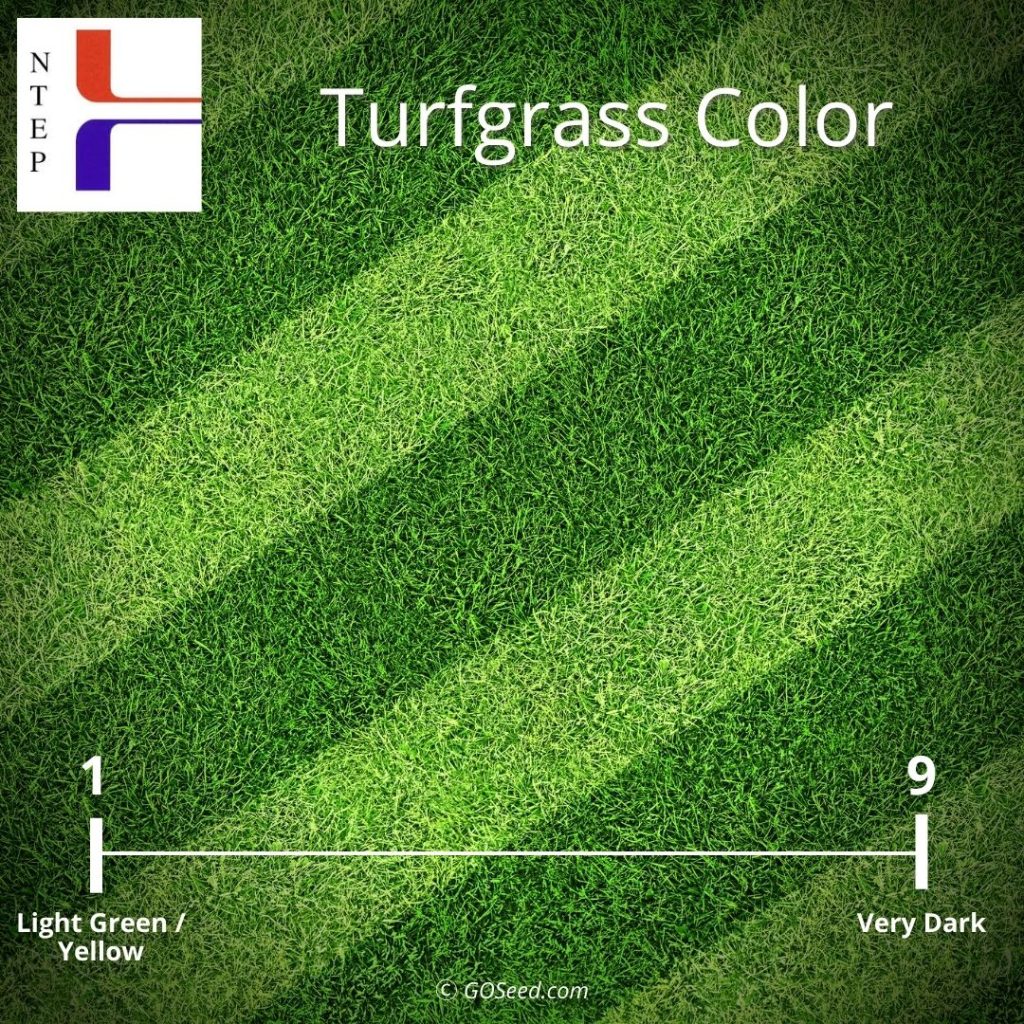 How To Read National Turf Evaluation Program Results | GO Seed