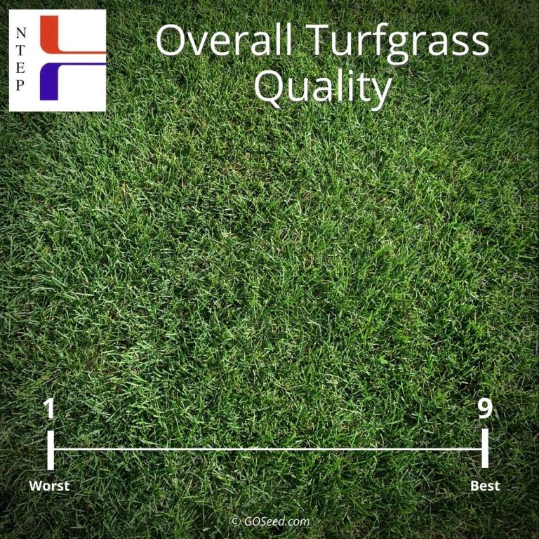 How To Read National Turf Evaluation Program Results | GO Seed