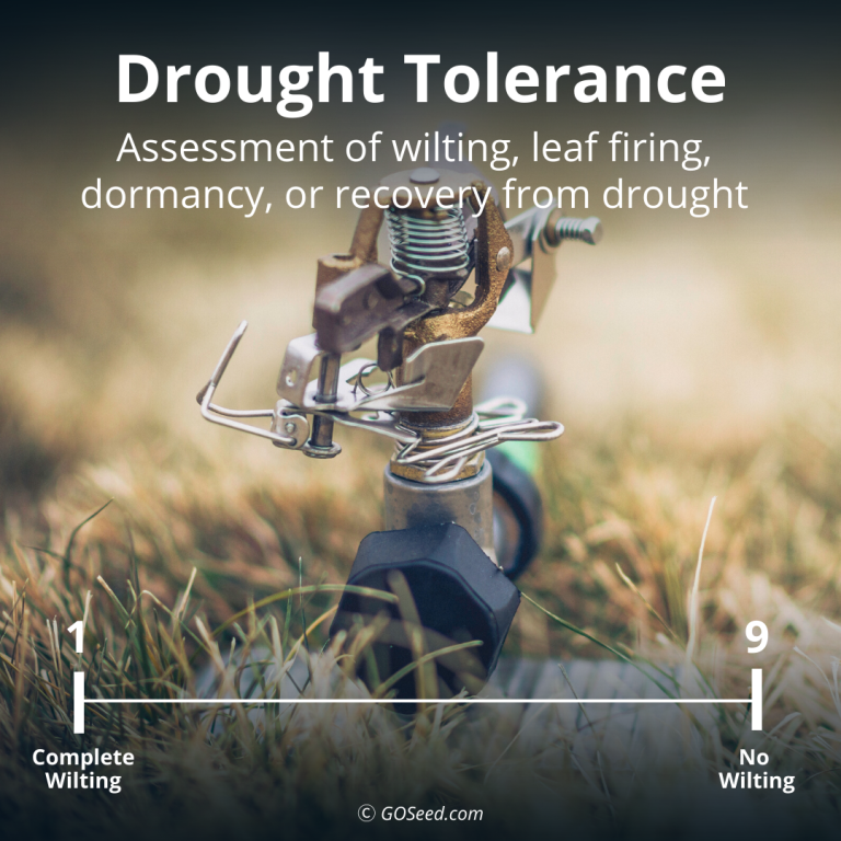 How To Read National Turf Evaluation Program Results | GO Seed