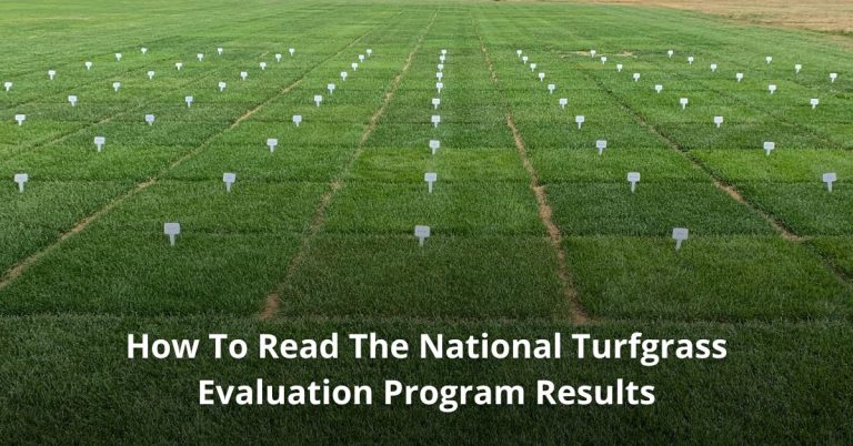 How To Read National Turf Evaluation Program Results | GO Seed