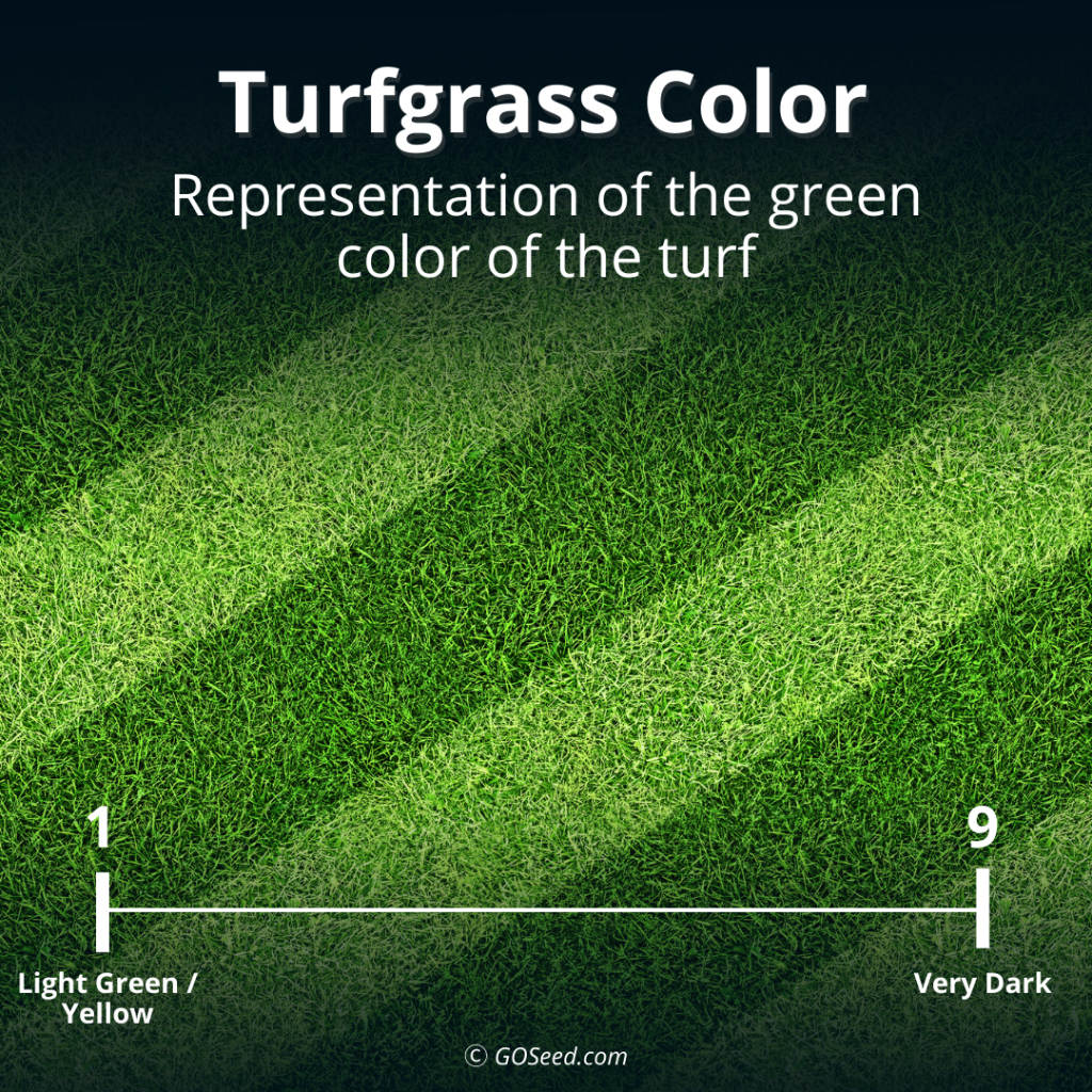 How To Read National Turf Evaluation Program Results | GO Seed